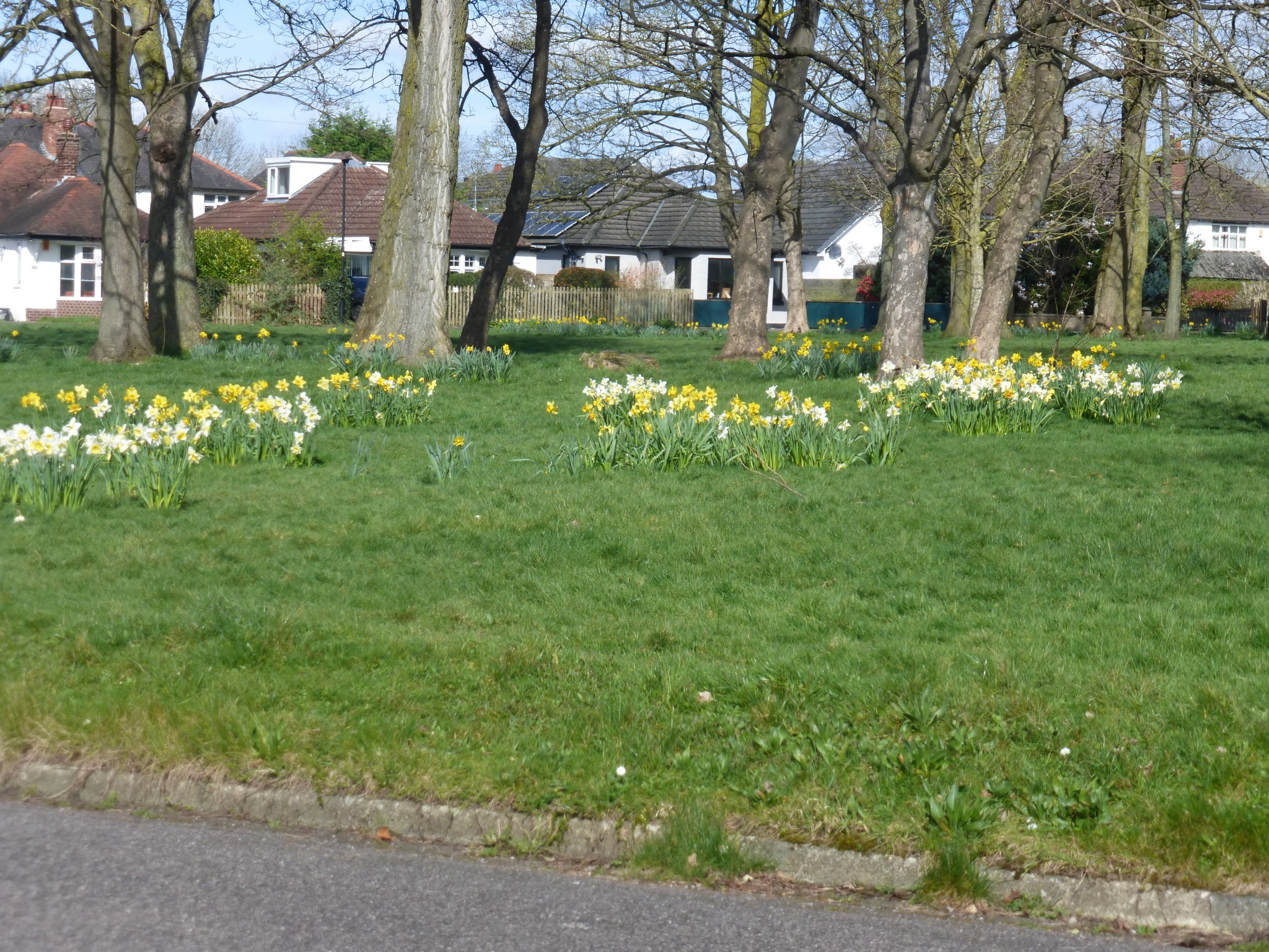 Curzon Park Residents' Association | www.cpraonline.org